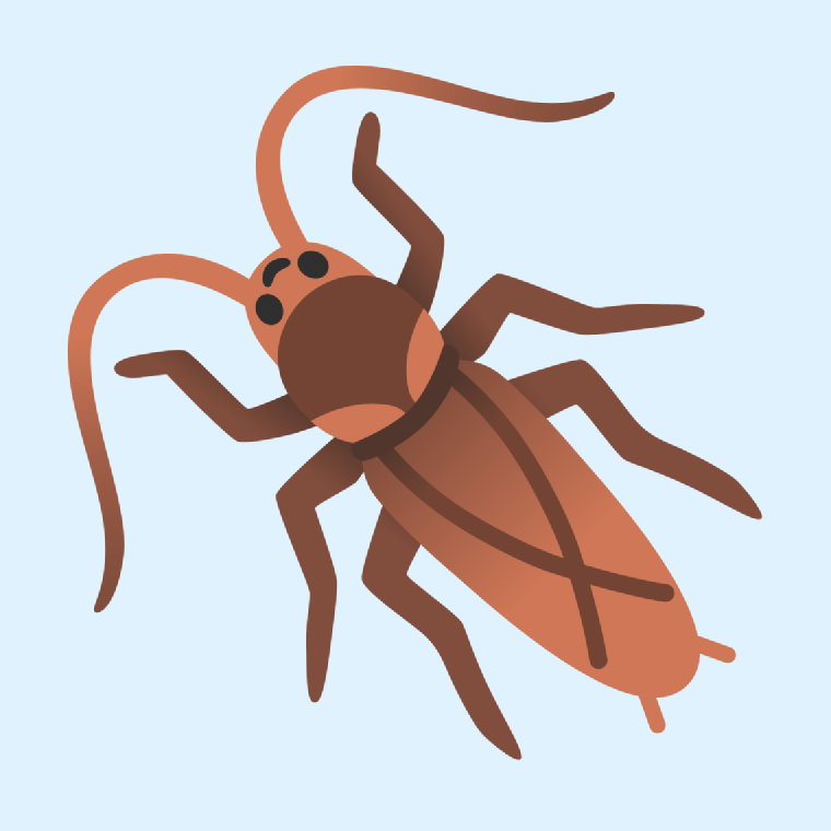 Emoji 🪳 Cockroach: Meaning and Details