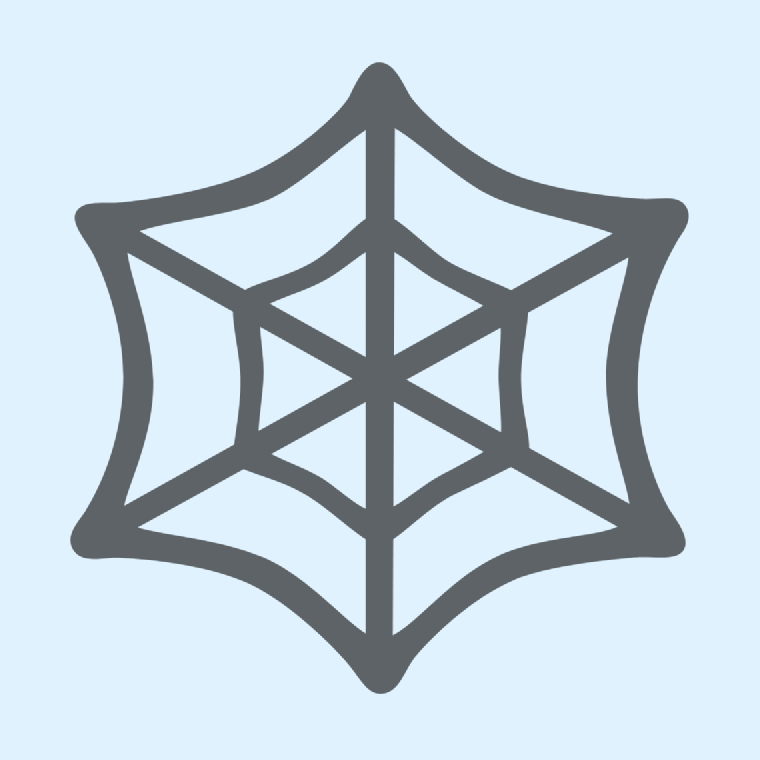 Emoji 🕸️ Spider web: Meaning and Details
