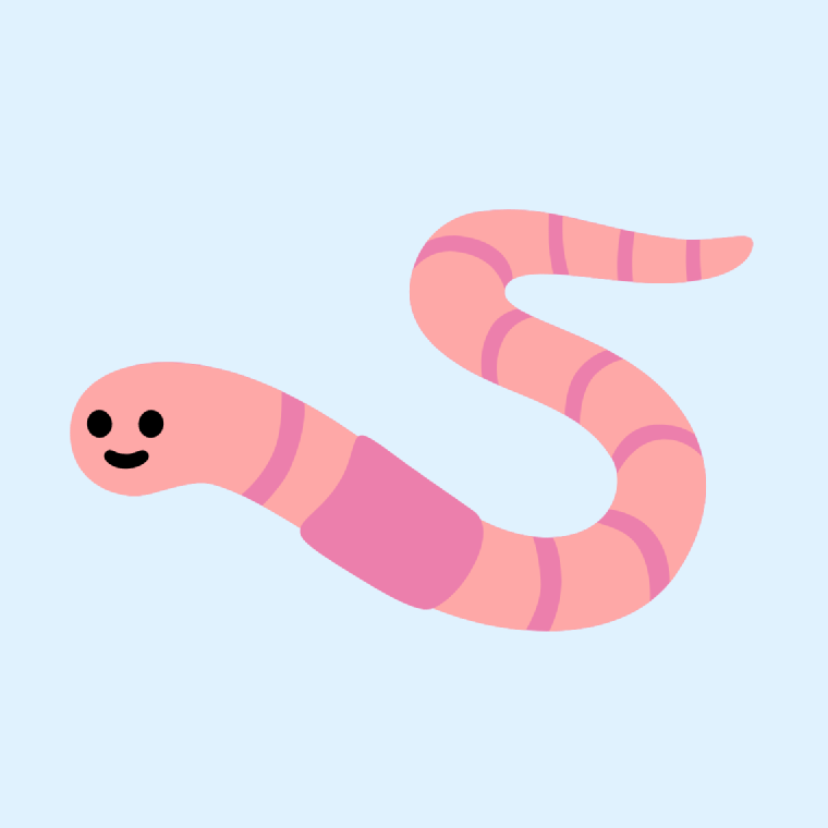 Emoji 🪱 Worm: Meaning and Details